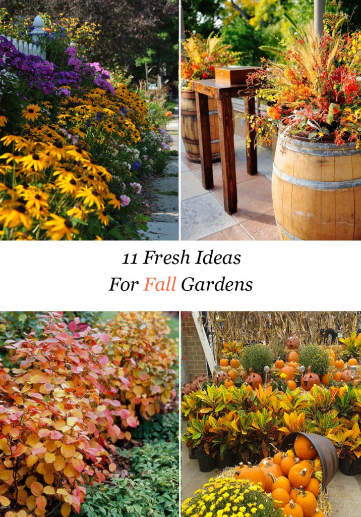 11 Fresh Ideas for Fall Gardens - The Honeycomb Home