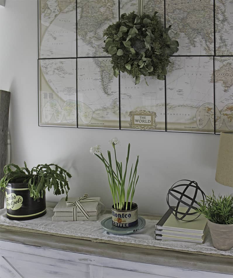 Growing Paperwhite Flowers Indoors - The Honeycomb Home
