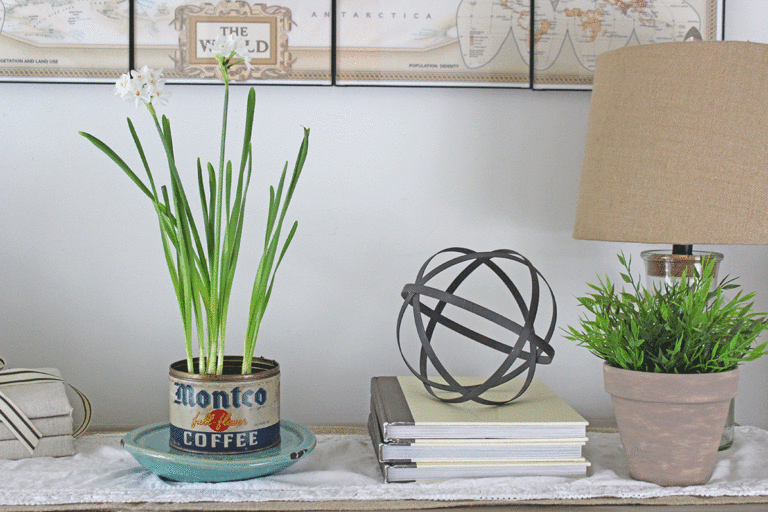 Growing Paperwhite Flowers Indoors - The Honeycomb Home