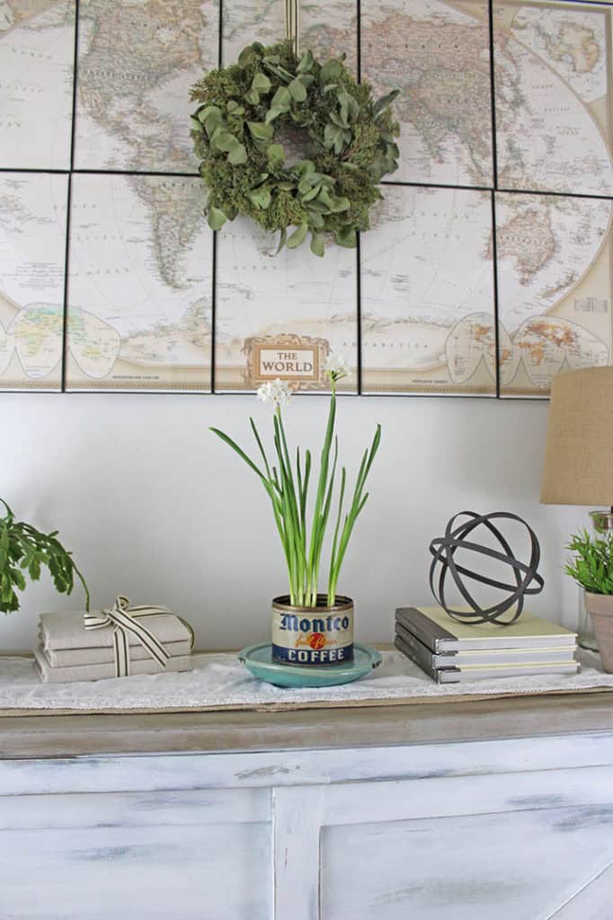 Growing Paperwhite Flowers Indoors - The Honeycomb Home