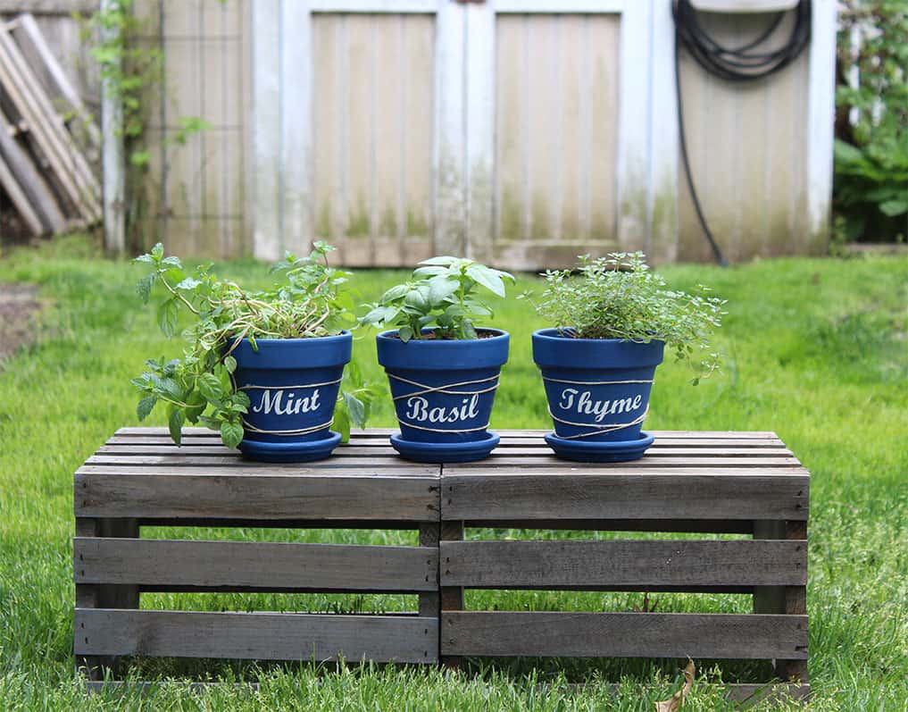 How to Make DIY Herb Pots - The Honeycomb Home