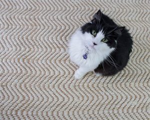 DIY Sisal Rug - The Honeycomb Home