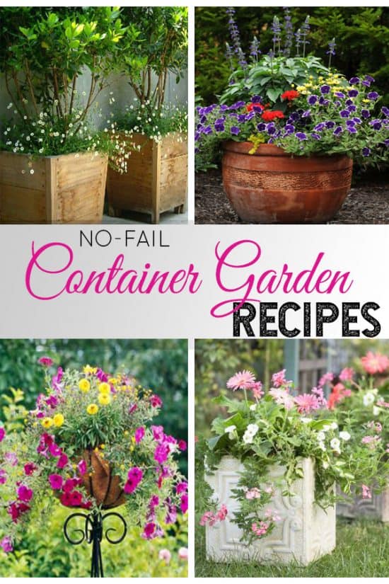 Container Gardening Recipes - The Honeycomb Home