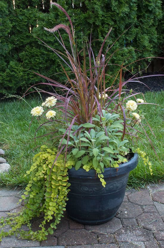 Container Gardening Recipes - The Honeycomb Home