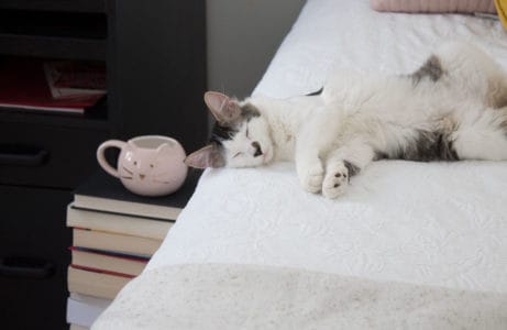 Dorm Room "Day-kover" - The Honeycomb Home