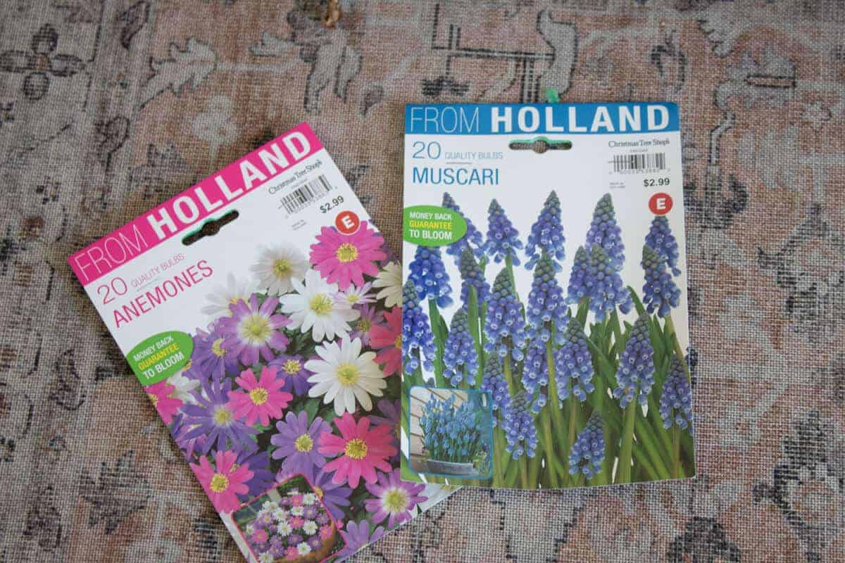 Spring Garden Prep - The Honeycomb Home