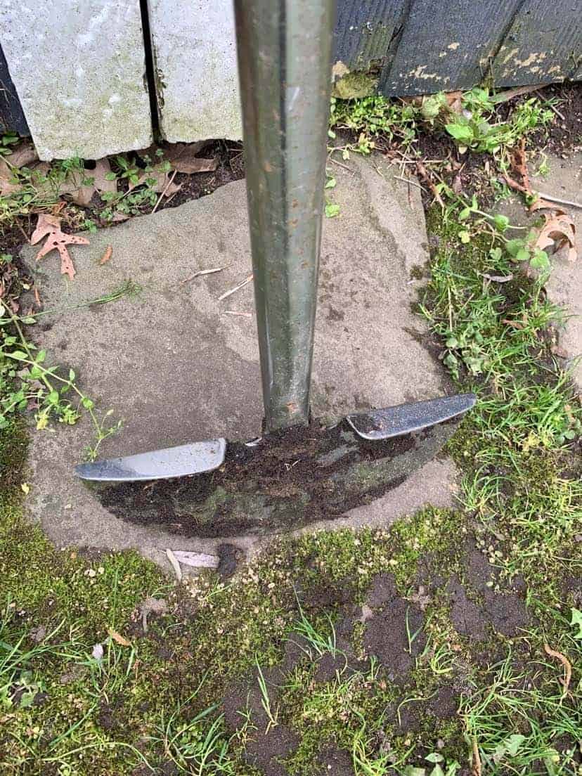 Edging Around Trees The Easy Way - The Honeycomb Home