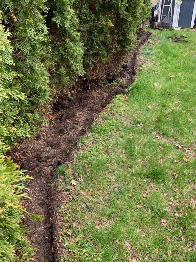 Edging Around Trees The Easy Way - The Honeycomb Home