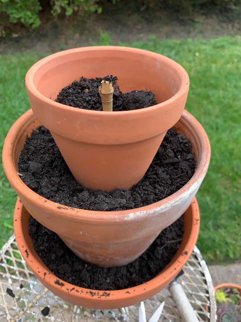 Stacked DIY Succulent Planter - The Honeycomb Home