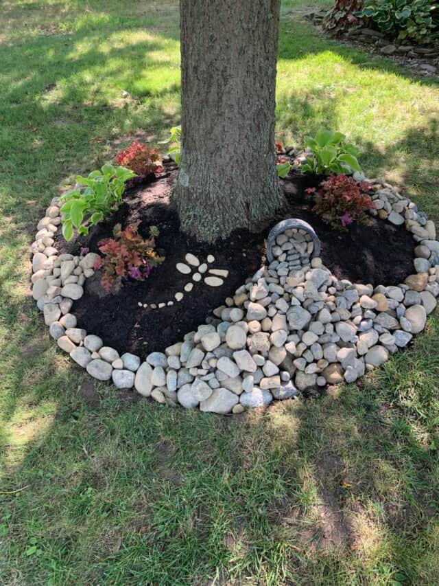Creative Landscaping Ideas Around Tree Roots - The Honeycomb Home