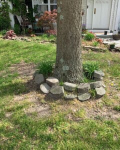 Creative Landscaping Ideas Around Tree Roots - The Honeycomb Home