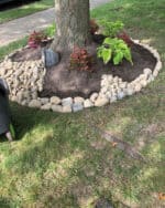 Creative Landscaping Ideas Around Tree Roots - The Honeycomb Home