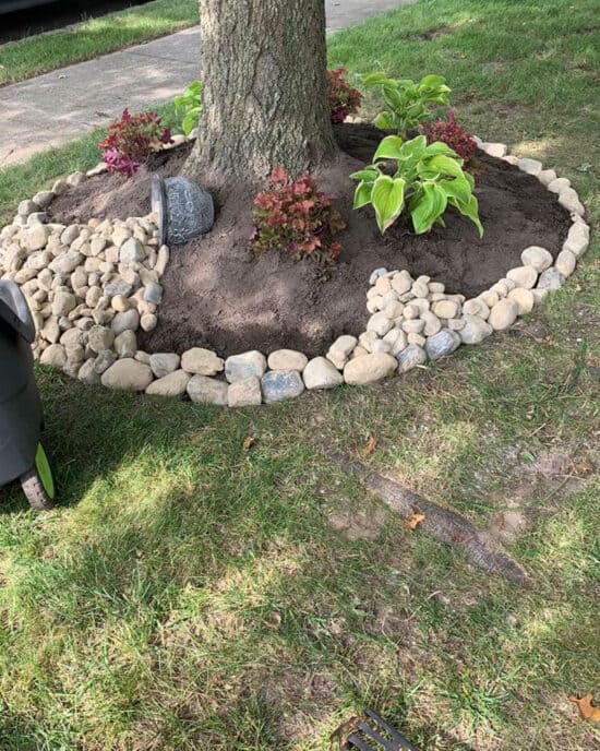 Creative Landscaping Ideas Around Tree Roots - The Honeycomb Home