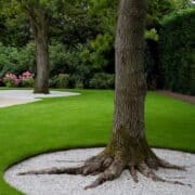 Creative Landscaping Ideas Around Tree Roots - The Honeycomb Home