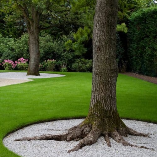 Creative Landscaping Ideas Around Tree Roots - The Honeycomb Home