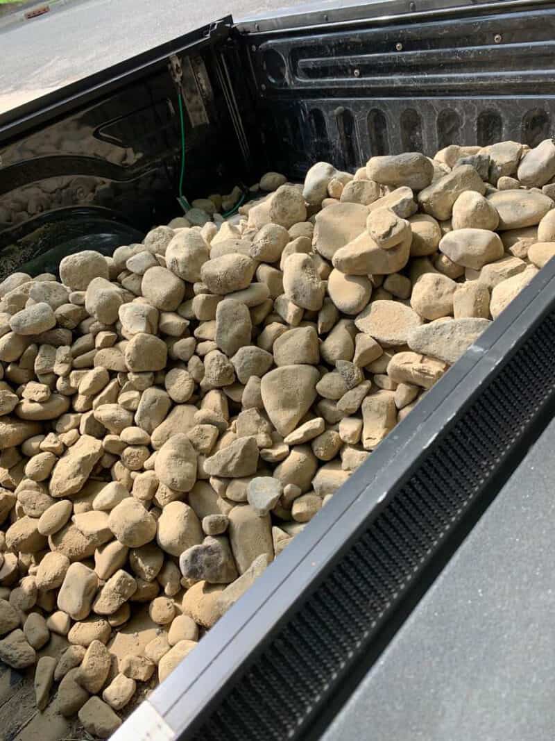 Creative Landscaping Ideas Around Tree Roots - The Honeycomb Home