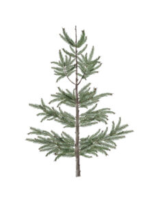 Printable Christmas Gift Tags (Free Download) - The Honeycomb Home