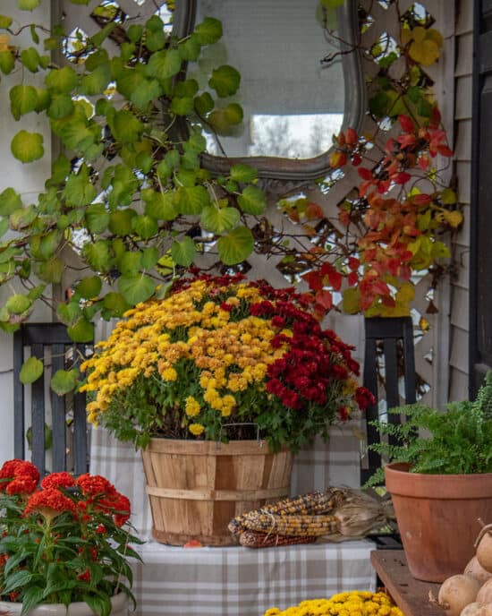 Fall Front Porch Decorating 2023 - The Honeycomb Home