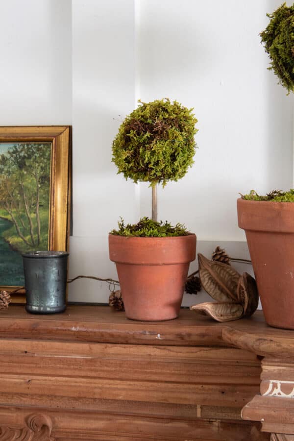 Live Moss Topiary DIY - EASY How To! - The Honeycomb Home