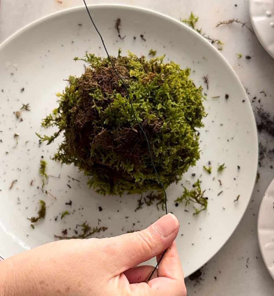 Live Moss Topiary DIY - EASY How To! - The Honeycomb Home