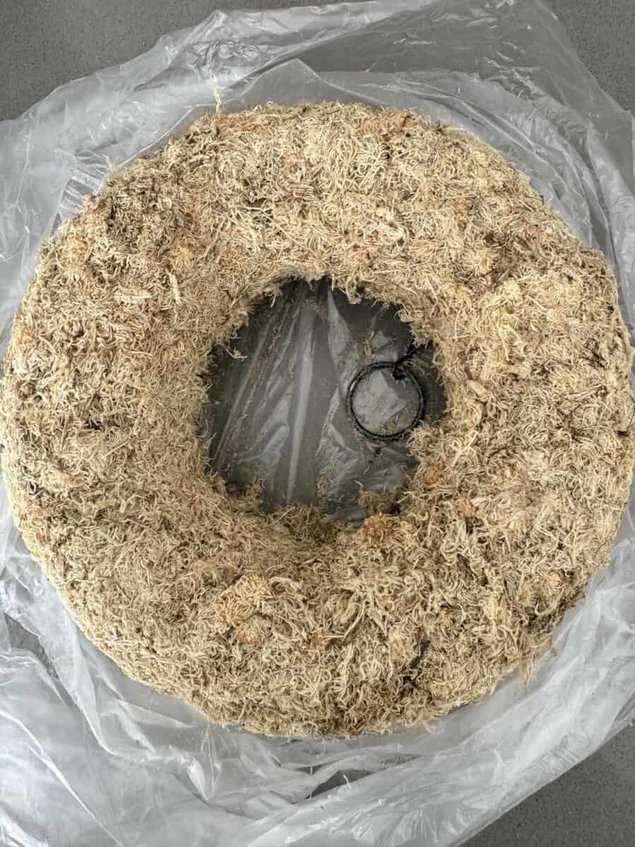 DIY Living Wreath How-To (Easy) - The Honeycomb Home