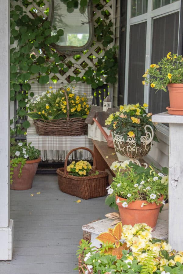 Small Front Porch Ideas With Plants - The Honeycomb Home